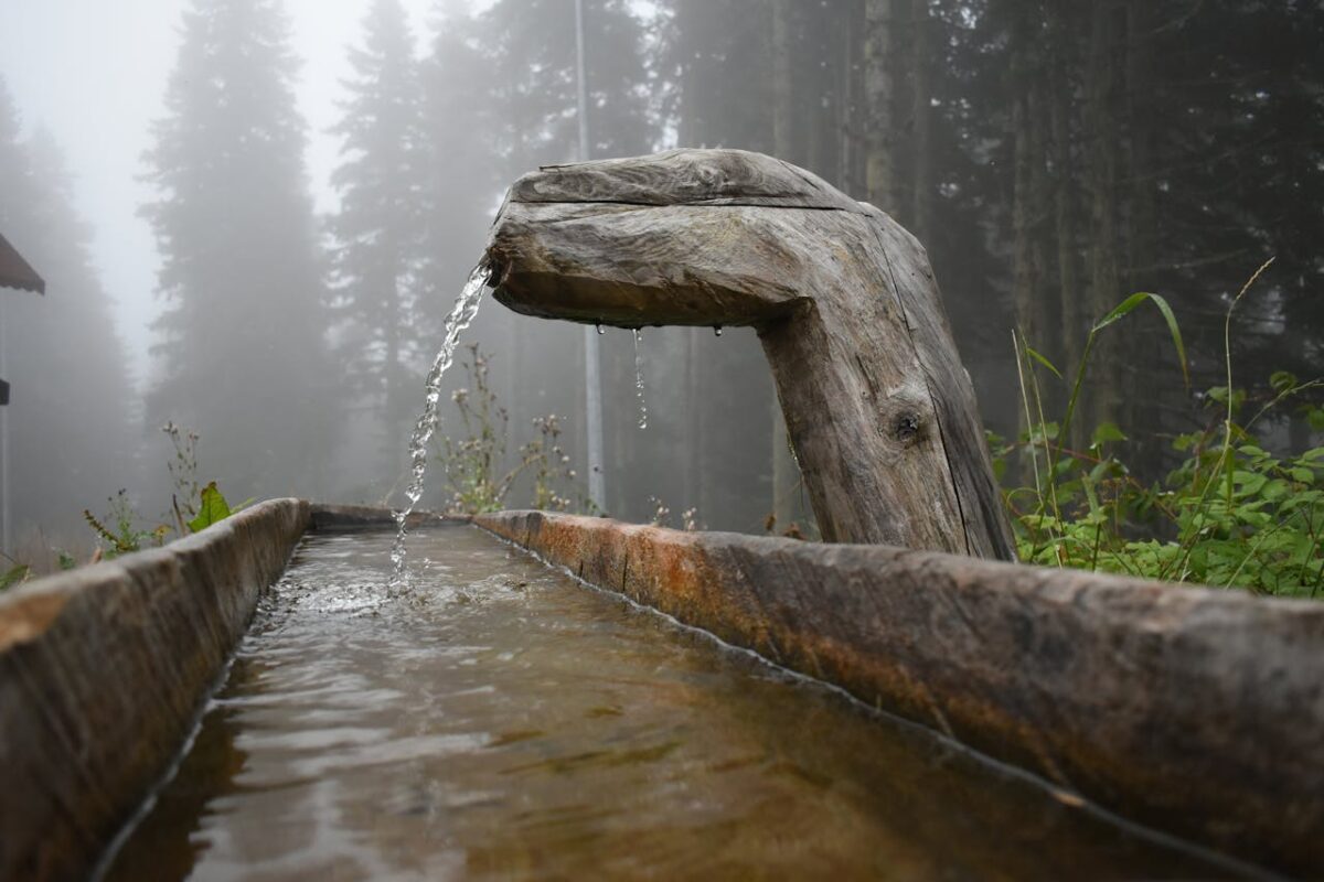 Unveiling the History of Gutters